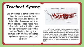 2nd QUARTER LESSON 3 - GAS EXCHANGE.pptx