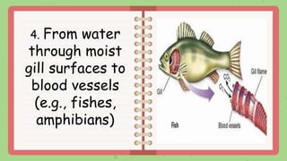 2nd QUARTER LESSON 3 - GAS EXCHANGE.pptx
