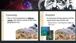 2ND QUARTER SCIENCE 6.. ECOSYSTEM.pptx