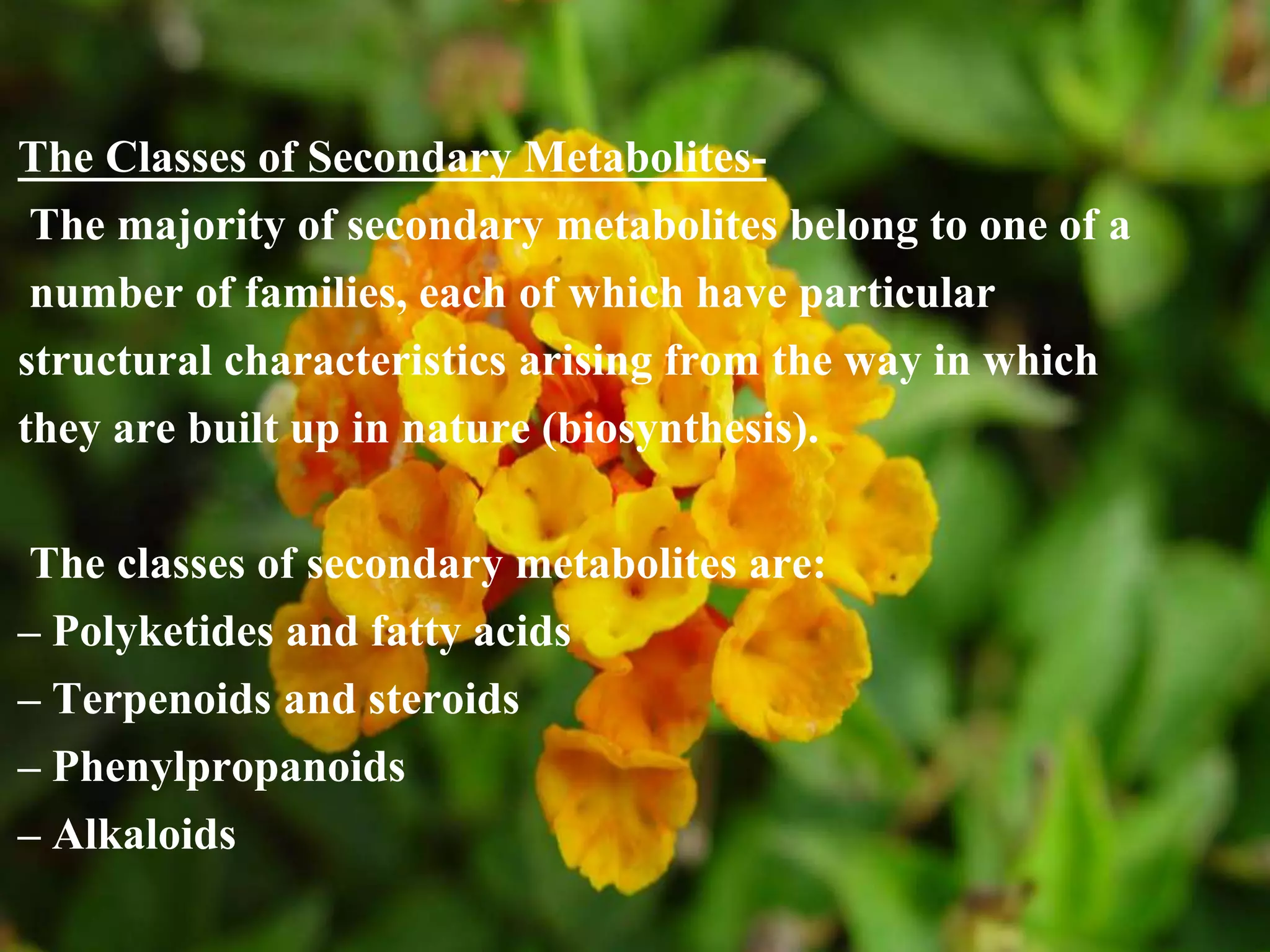 Plant secondary metabolites | PPTX