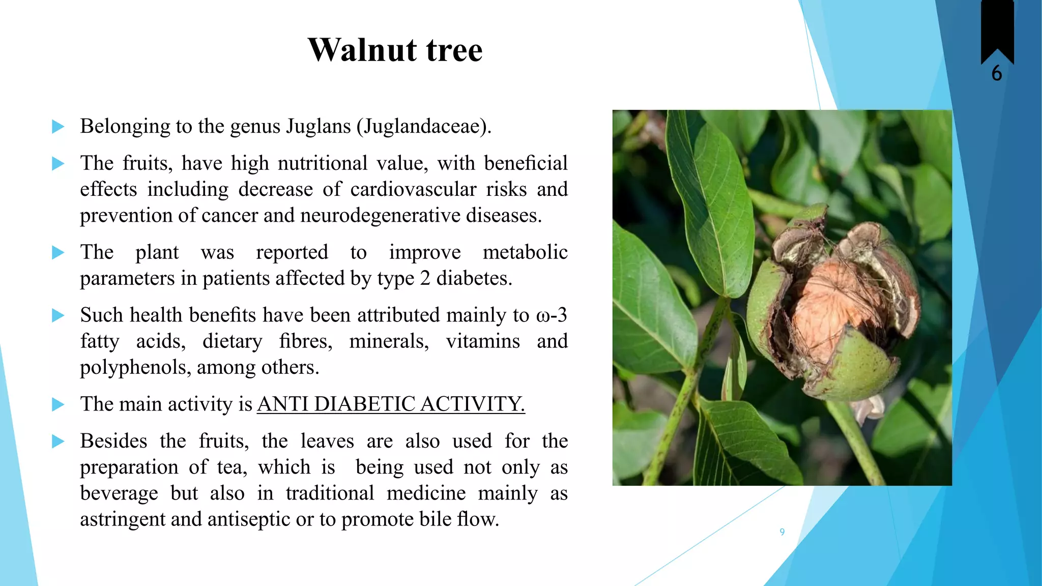Bio Assay Guided Isolation Identification Active Constituents Of Walnut