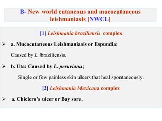 2nd semester L 06 leishmana jdjdkdkdkdkd | PPT