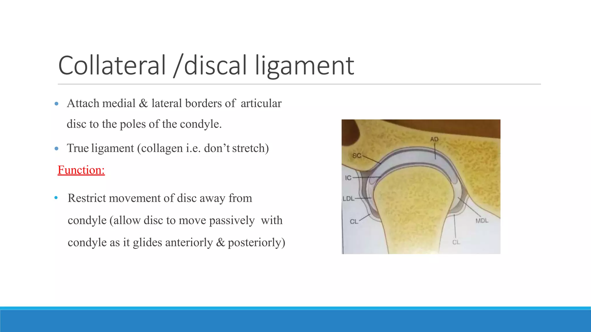 Surgical Anatomy Of Temporomandibular Joint And Parotid Region | PPTX