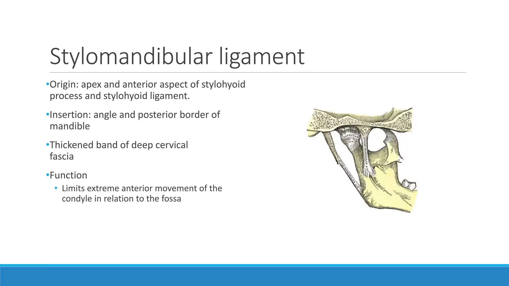 Surgical Anatomy Of Temporomandibular Joint And Parotid Region | PPTX