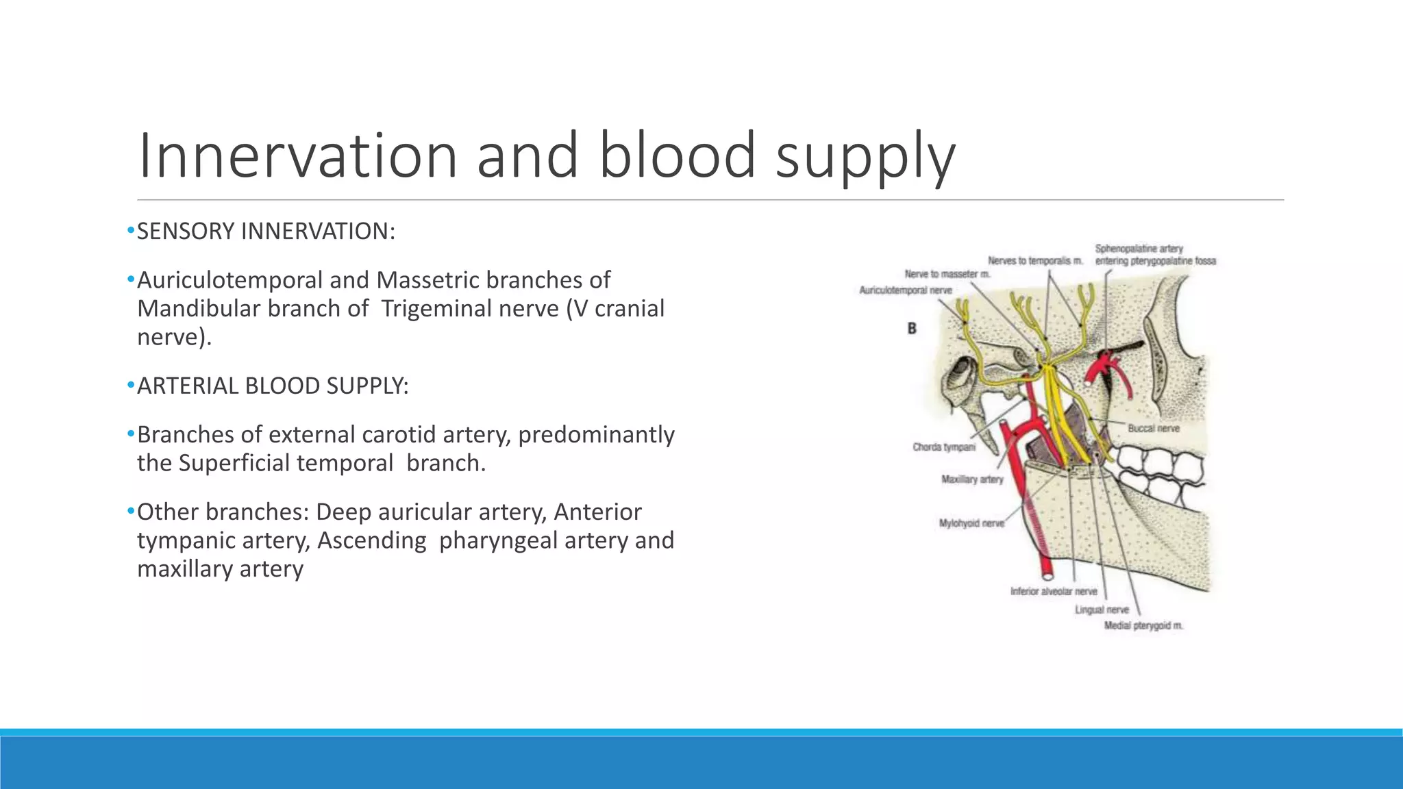 Surgical Anatomy Of Temporomandibular Joint And Parotid Region | PPTX