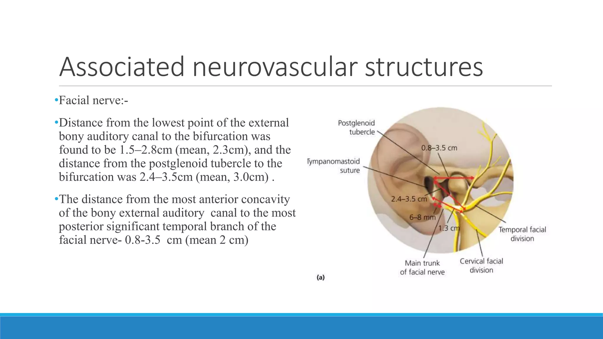 Surgical Anatomy Of Temporomandibular Joint And Parotid Region | PPTX