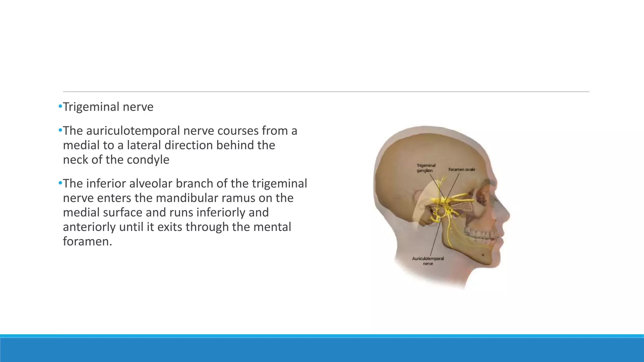 Surgical Anatomy Of Temporomandibular Joint And Parotid Region | PPTX