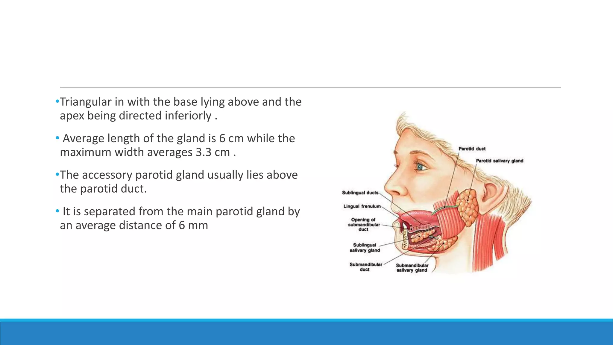 Surgical Anatomy Of Temporomandibular Joint And Parotid Region | PPTX