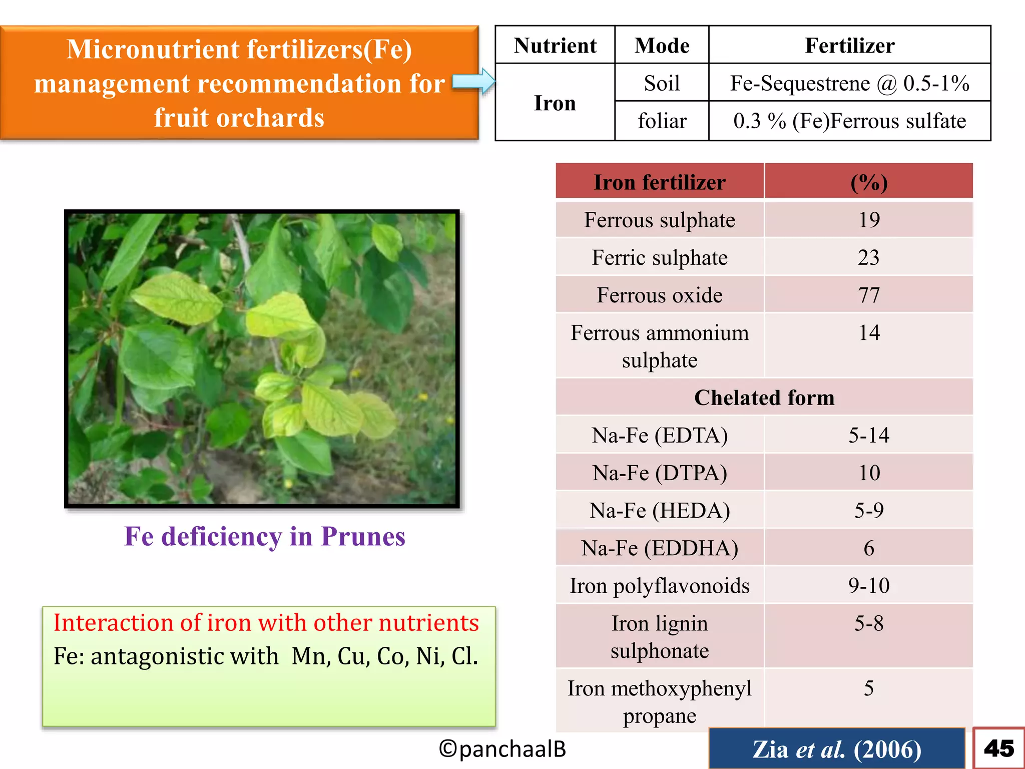 Micronutrients: role and management in fruit crops (2nd doctoral ...