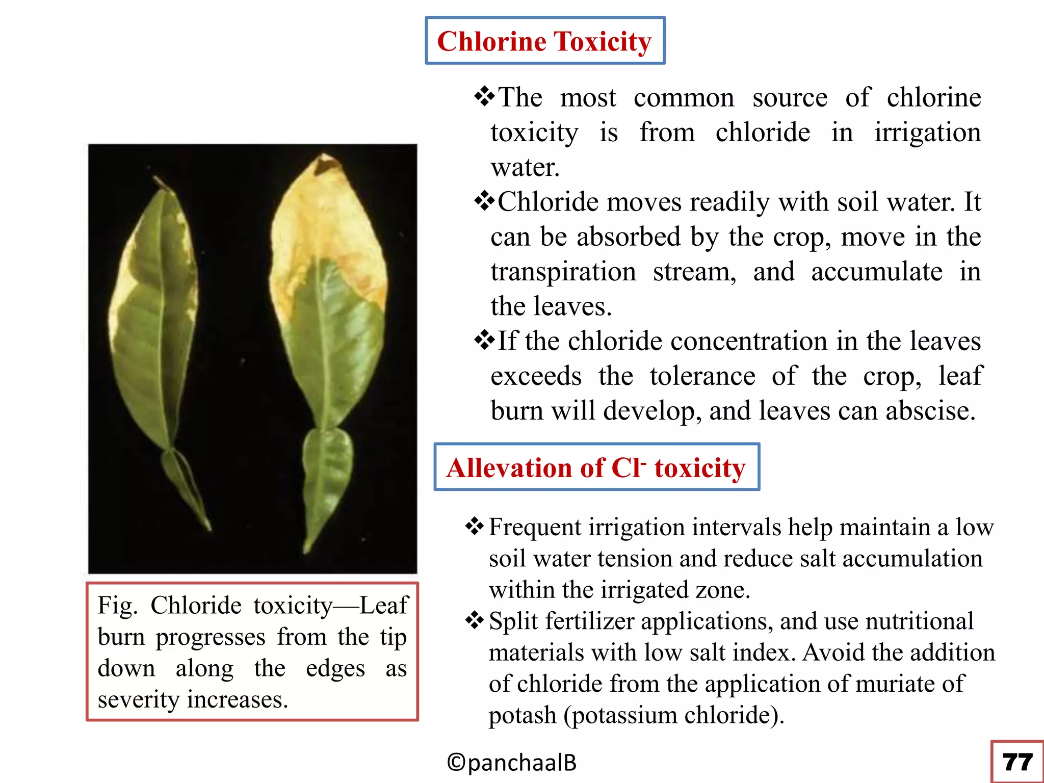 Micronutrients: role and management in fruit crops (2nd doctoral ...