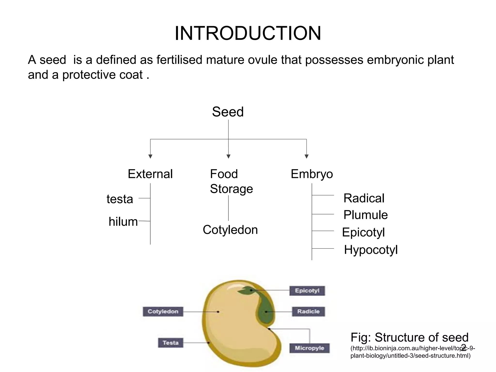 Molecular Mechanism of Seed Dormancy | PPT