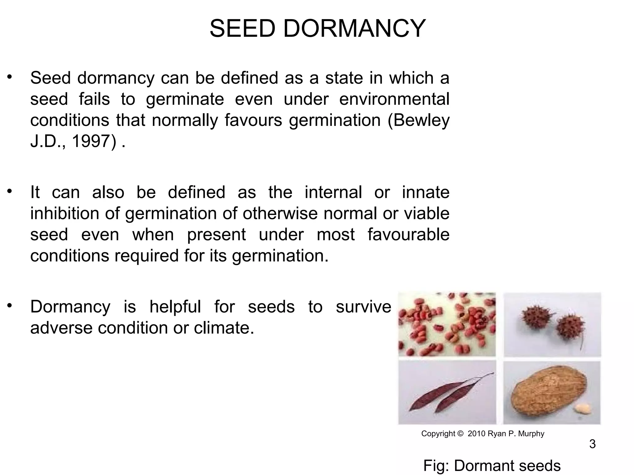 Molecular Mechanism of Seed Dormancy | PPT