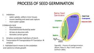 polyphenolic compound as seed germination inhibitor | PPT