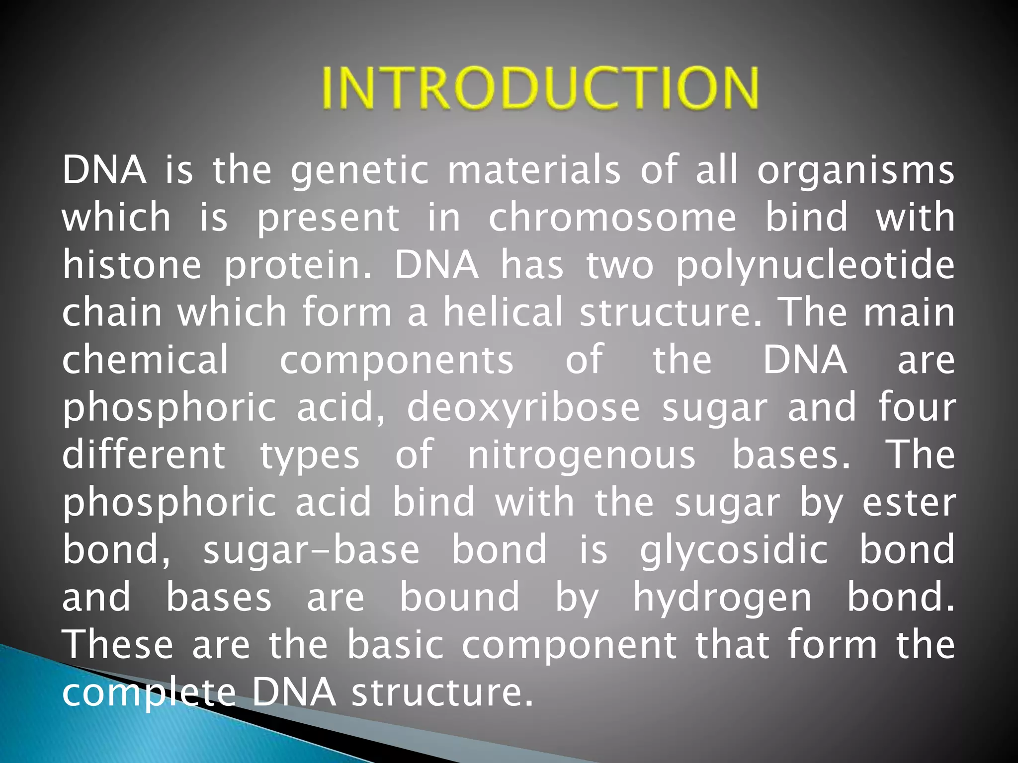 structure of DNA | PPTX