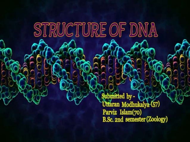 structure of DNA | PPT