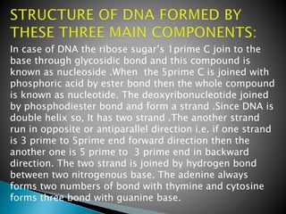 structure of DNA | PPTX