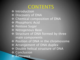 structure of DNA | PPTX