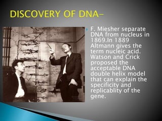 structure of DNA | PPTX