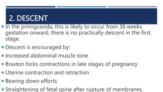 2nd STAGE.pptx....LABOUR STAGE.....easy.. | PPTX | Pregnancy ...