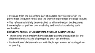 2nd stage labour, its physiology & management | PPTX