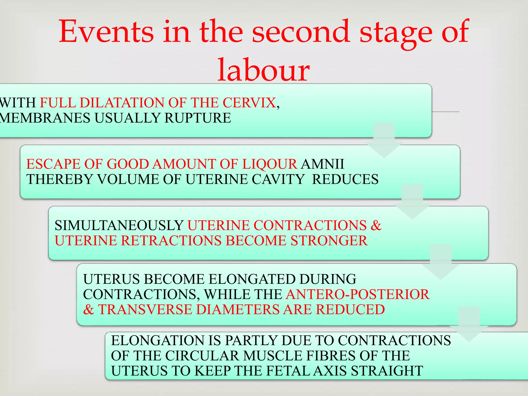 LABOUR 2nd stage | PPTX