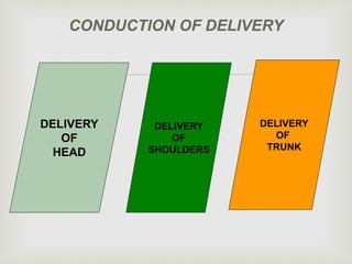 LABOUR 2nd stage | PPTX