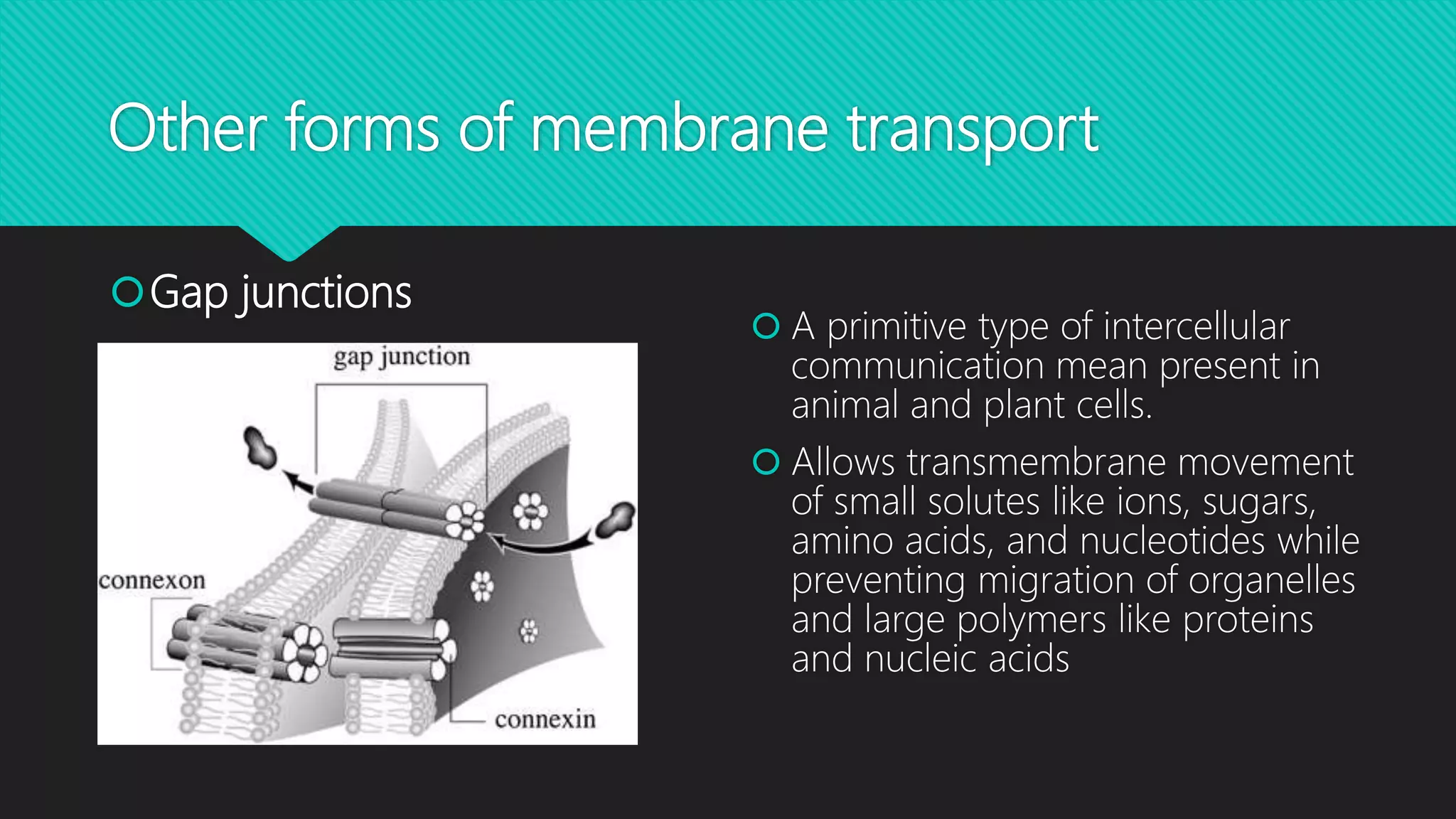 Mod. 4 Function of the cell membrane | PPTX