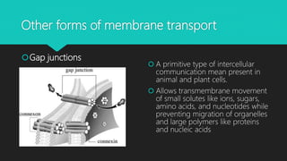 Mod. 4 Function of the cell membrane | PPT