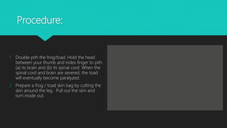 Mod. 4 Function of the cell membrane | PPT