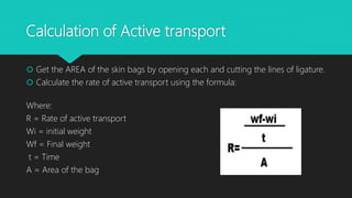 Mod. 4 Function of the cell membrane | PPT
