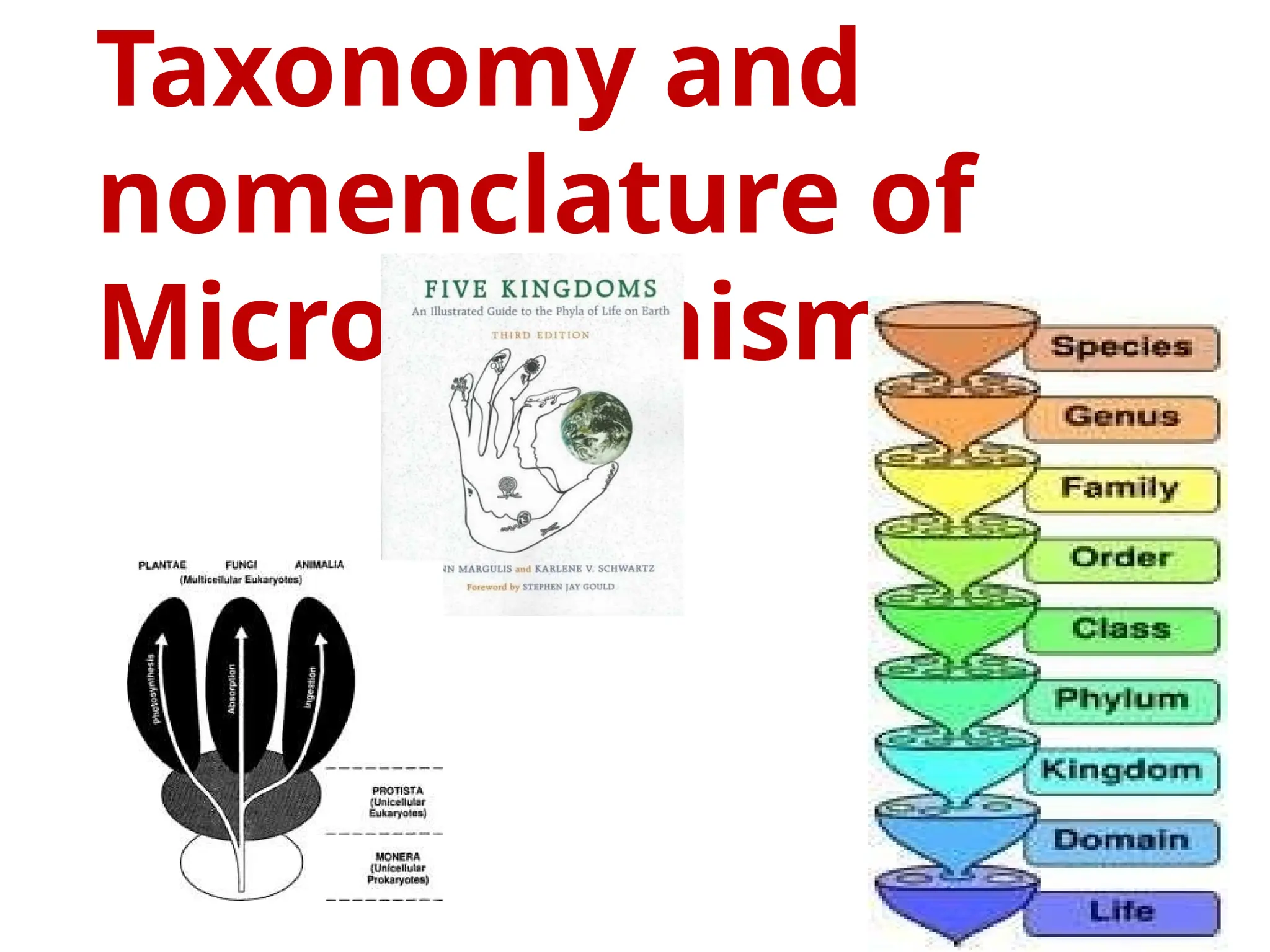 2nd taxonomy, nomen microorganisms-.pptx