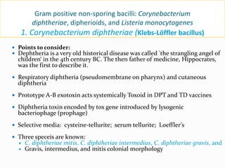 2nd term lectures,_cd,_listeria,diphoids[1] | PPTX