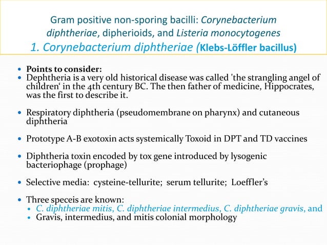 2nd term lectures,_cd,_listeria,diphoids[1] | PPTX