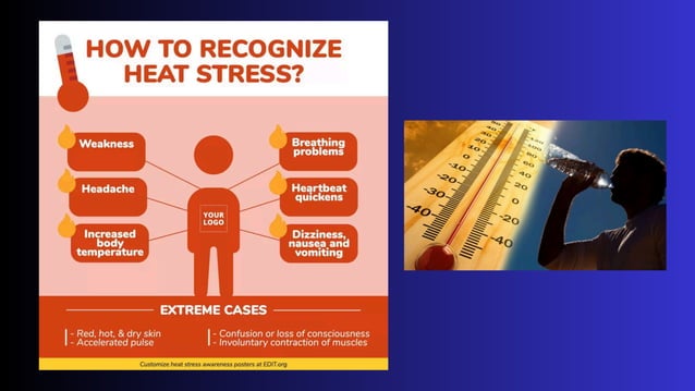 2nd topic - PRELIM - OHSP Occupational Safety Hazards.pdf