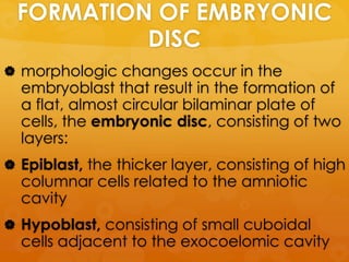 2nd week of intrauterine developement of embryo | PPTX