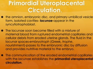 2nd week of intrauterine developement of embryo | PPTX