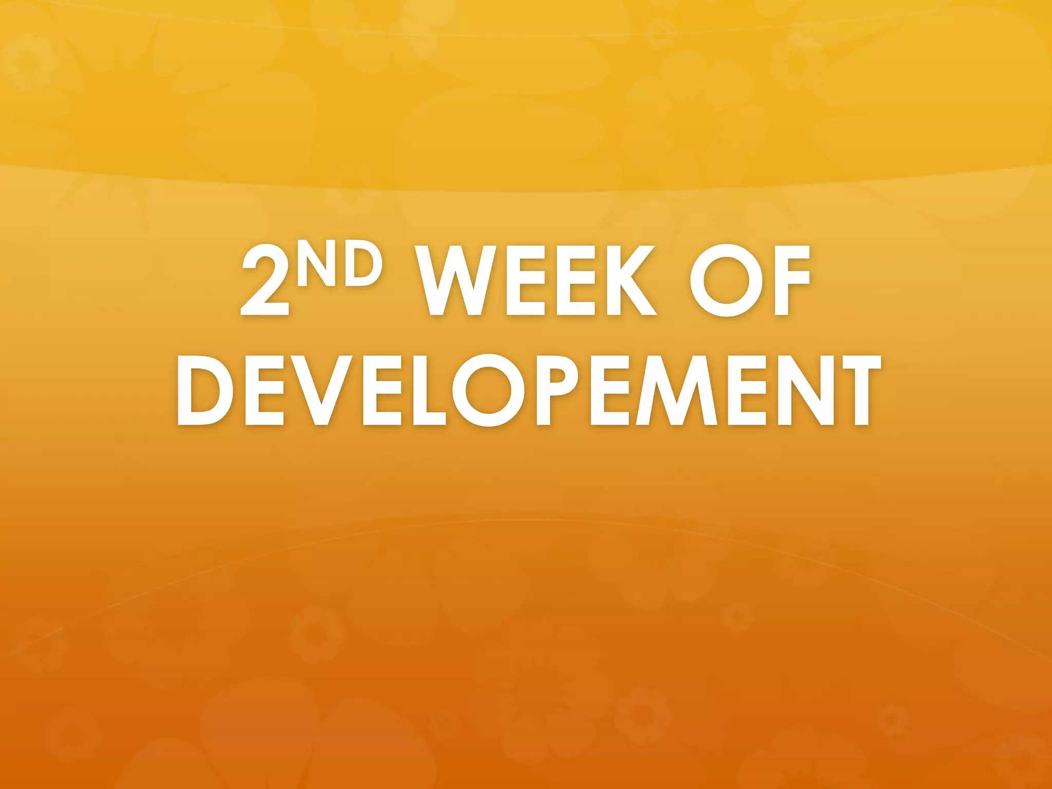 2nd week of intrauterine developement | PPTX