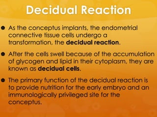 2nd week of intrauterine developement | PPTX