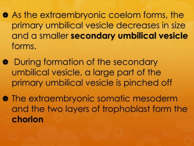 2nd week of intrauterine developement | PPTX