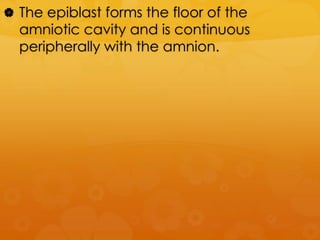 2nd week of intrauterine developement | PPTX