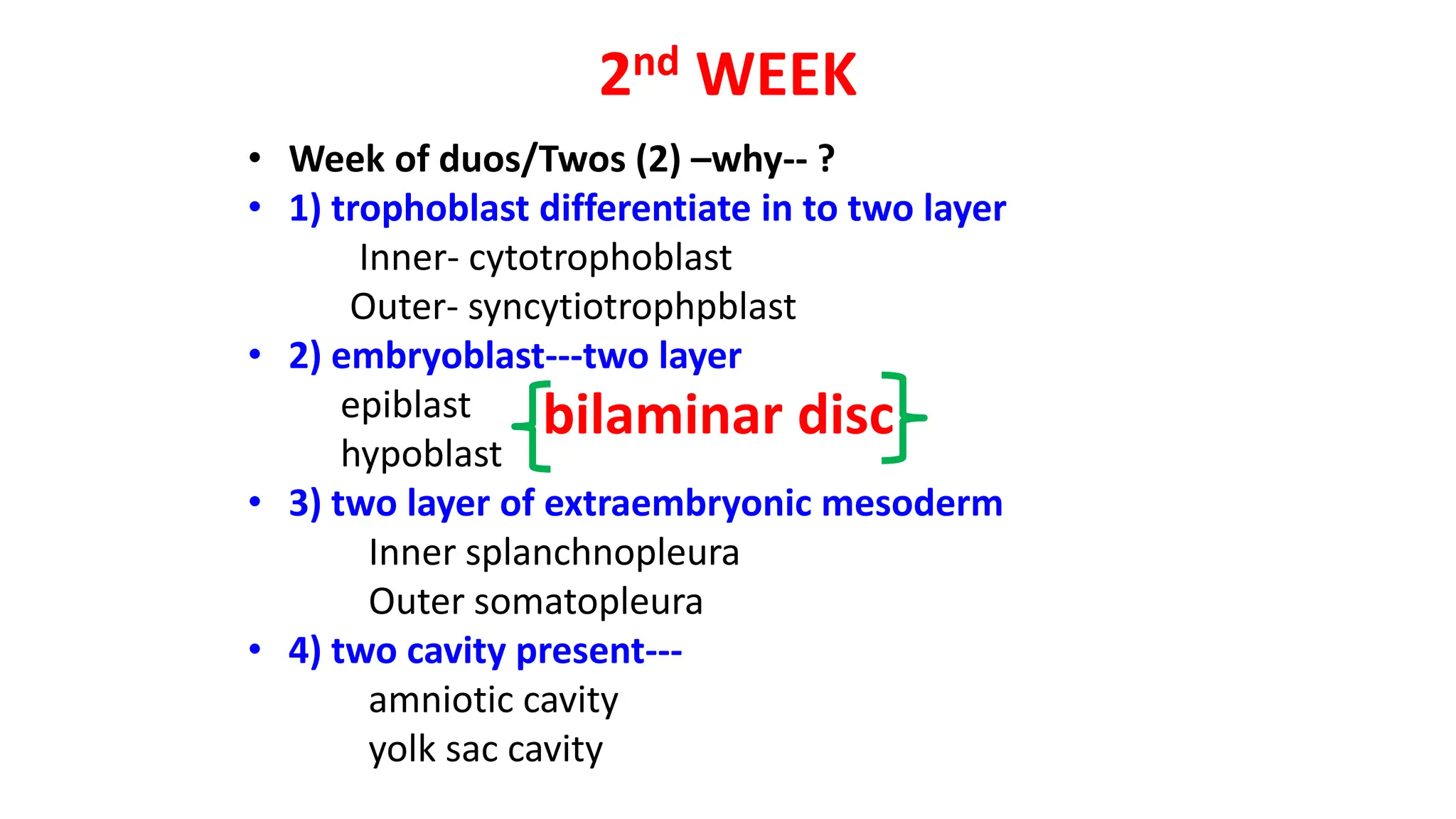 2nd week of Human development .embryology | PPT