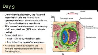 2nd week of Human development .embryology | PPTX