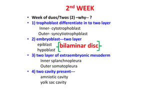2nd week of Human development .embryology | PPTX