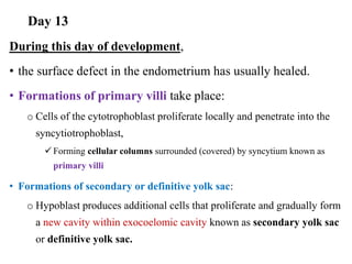 second week embryonic development (AT).pdf