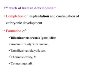 second week embryonic development (AT).pdf