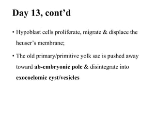 second week embryonic development (AT).pdf