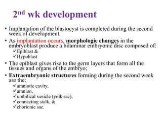 second week embryonic development (AT).pdf