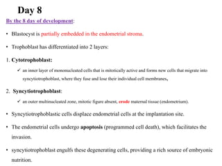 second week embryonic development (AT).pdf