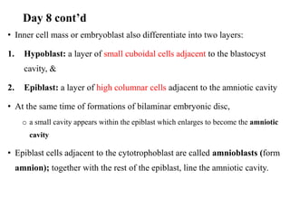 second week embryonic development (AT).pdf