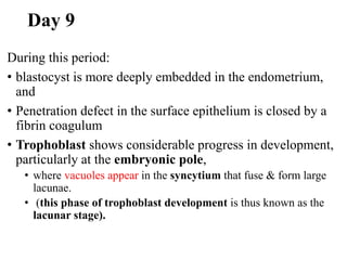 second week embryonic development (AT).pdf